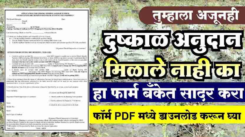दुष्काळ अनुदान मिळाले नसेल तर NPCI Mapping form बँकेत जमा करा फॉर्म pdf ...